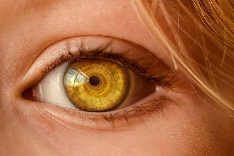 How To Get Eyelash Glue Off Clothes Oops Maine News Online how-to-get-eyelash-glue-off-clothes-oops-maine-news-online